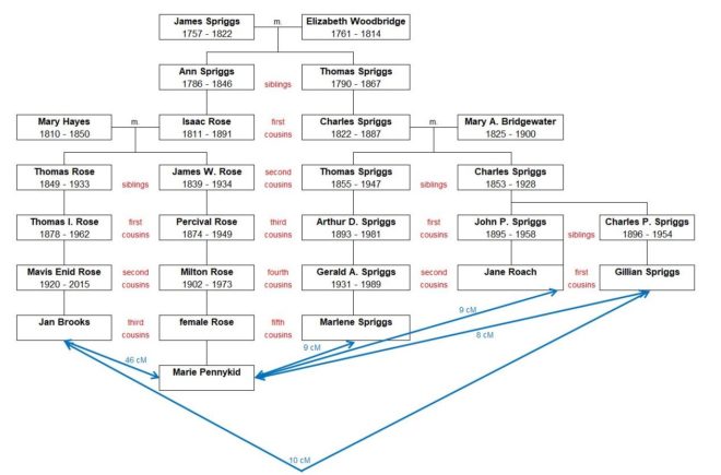 The Combined Power of DNA & Family Trees – Trees and Genes